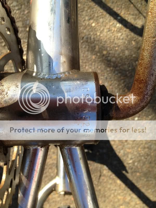 1997-1999 Schwinn Predator? Predator Pro? Predator FW? - BMXmuseum.com ...